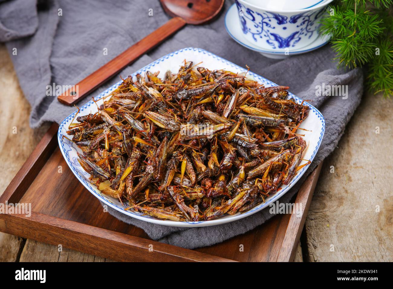 A plate of Fried grasshoppers Stock Photo - Alamy