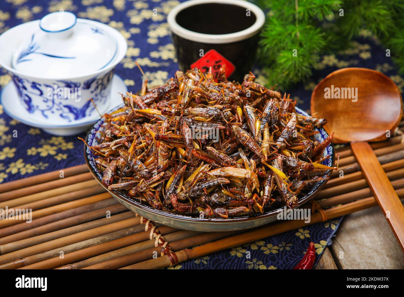 A plate of Fried grasshoppers Stock Photo - Alamy