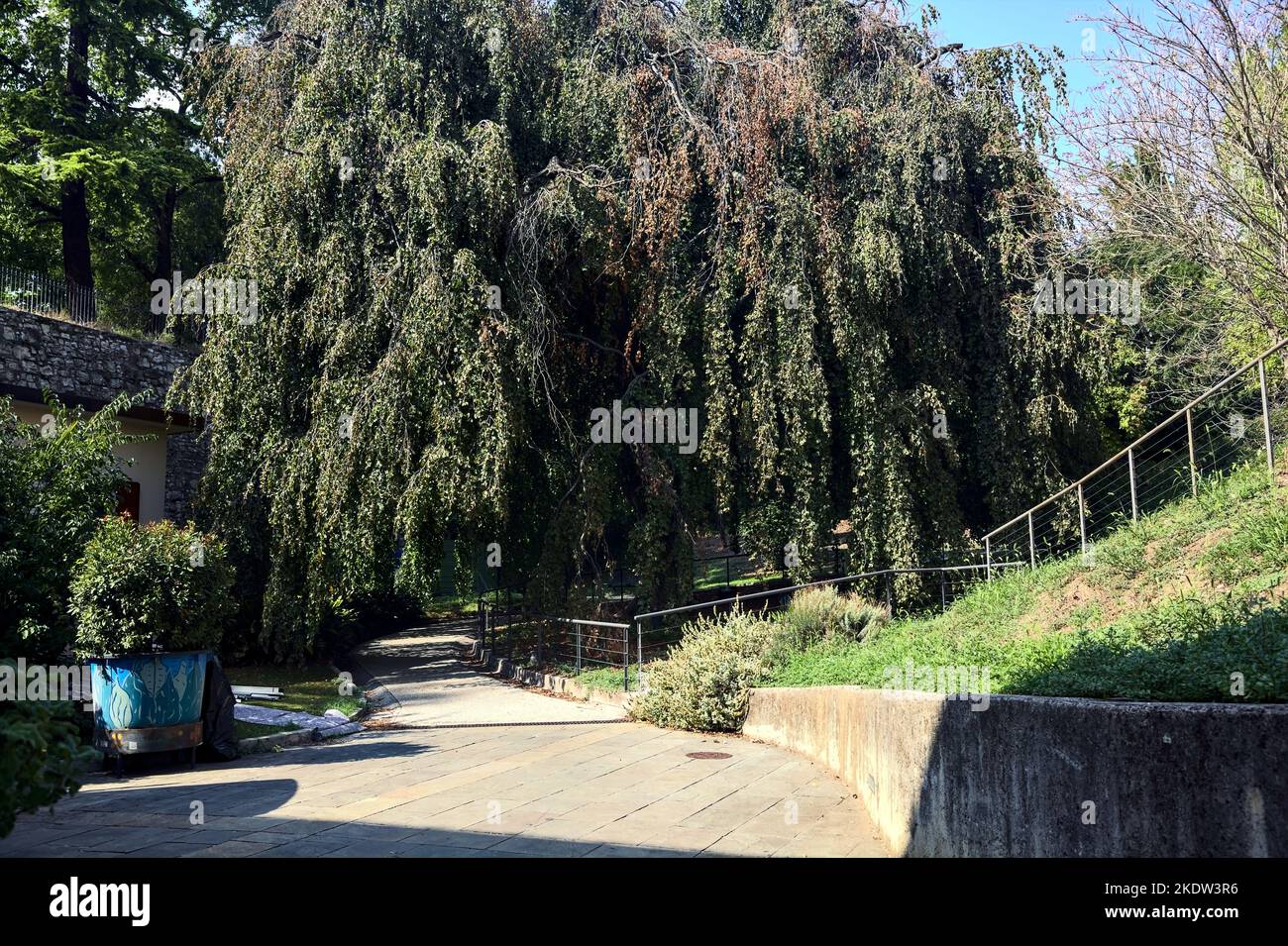 Rural path sunshine and shade hi-res stock photography and images - Alamy