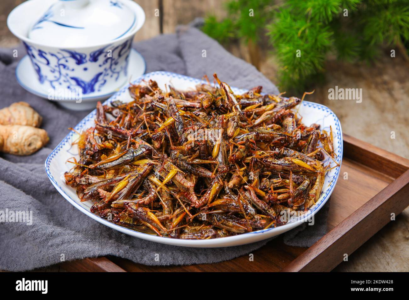 A plate of Fried grasshoppers Stock Photo - Alamy