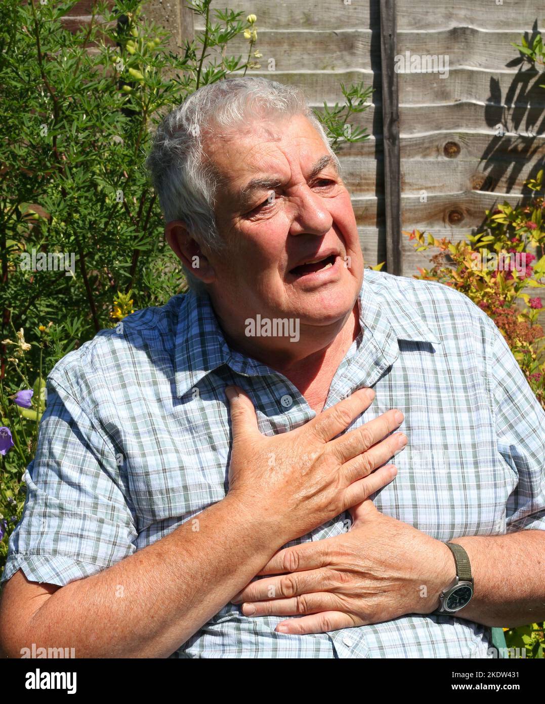 Elderly or senior man holding his chest in pain. possibly indigestion ...