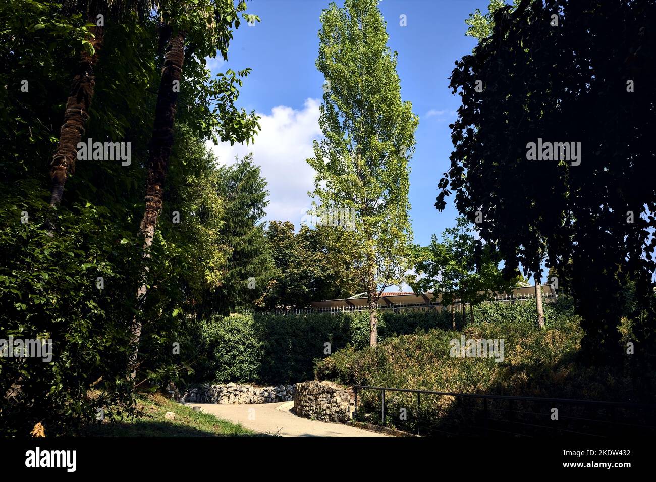 Paved path with trees at its edge in a park Stock Photo - Alamy