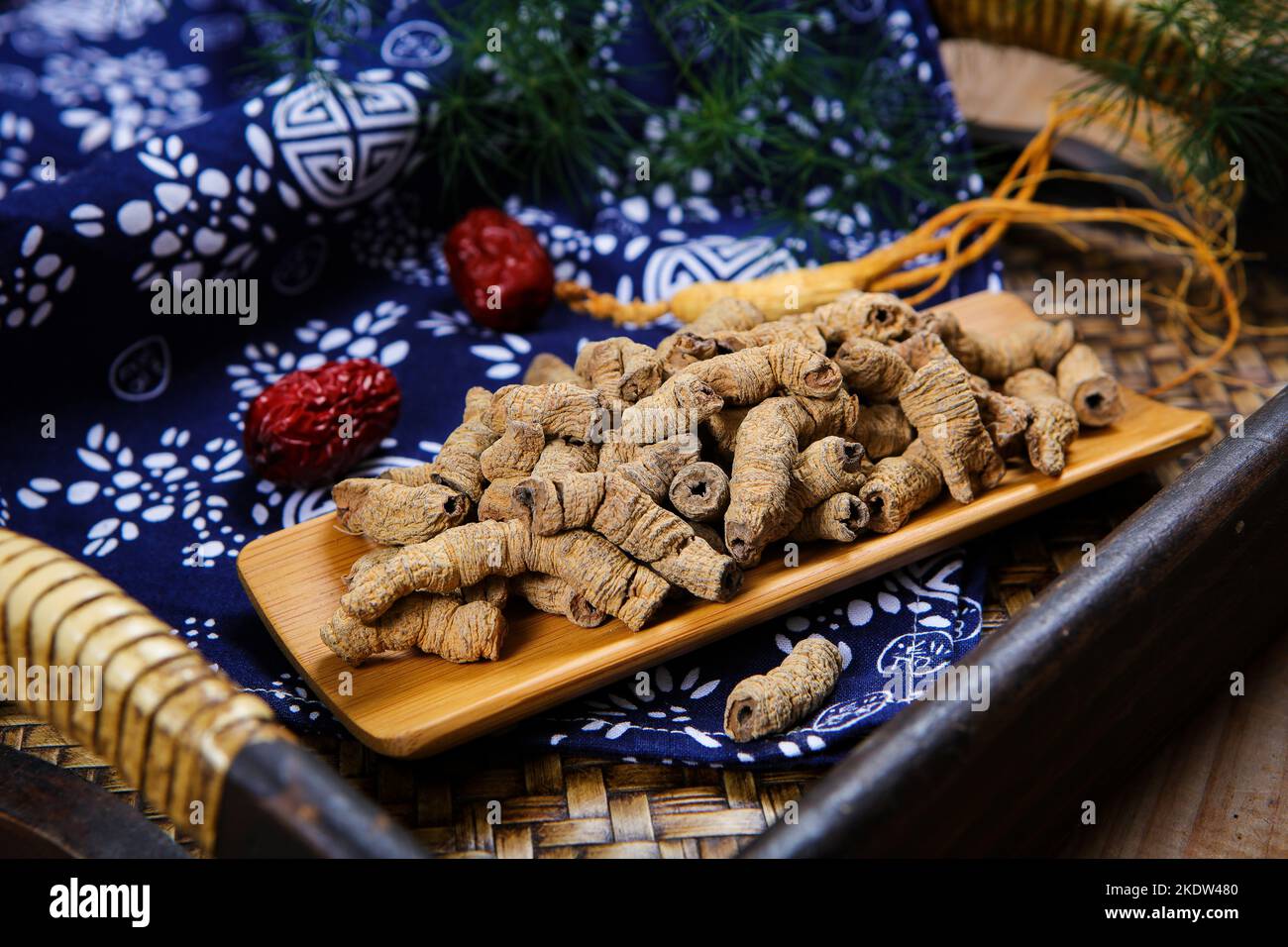 Chinese herbal medicine medicinal indianmulberry root Stock Photo - Alamy