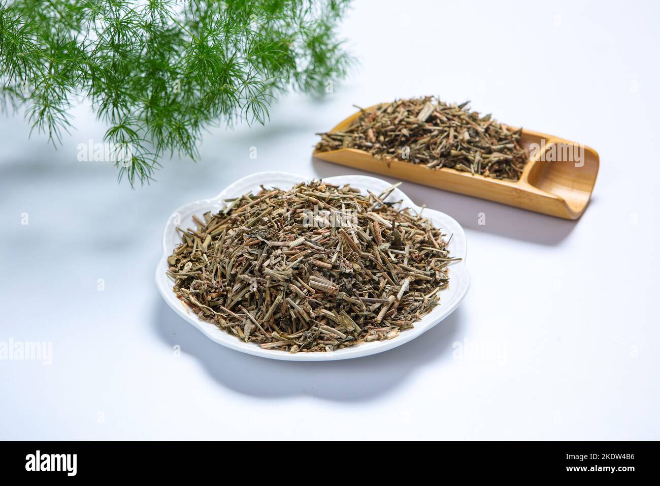 Traditional Chinese medicine common knotgrass Stock Photo - Alamy