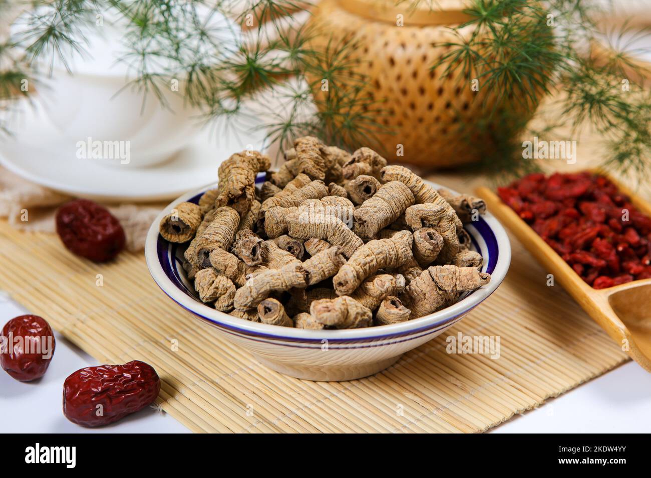 Chinese herbal medicine medicinal indianmulberry root Stock Photo - Alamy