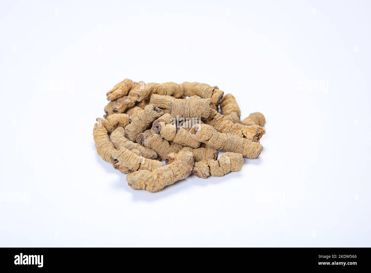 Chinese herbal medicine medicinal indianmulberry root Stock Photo - Alamy