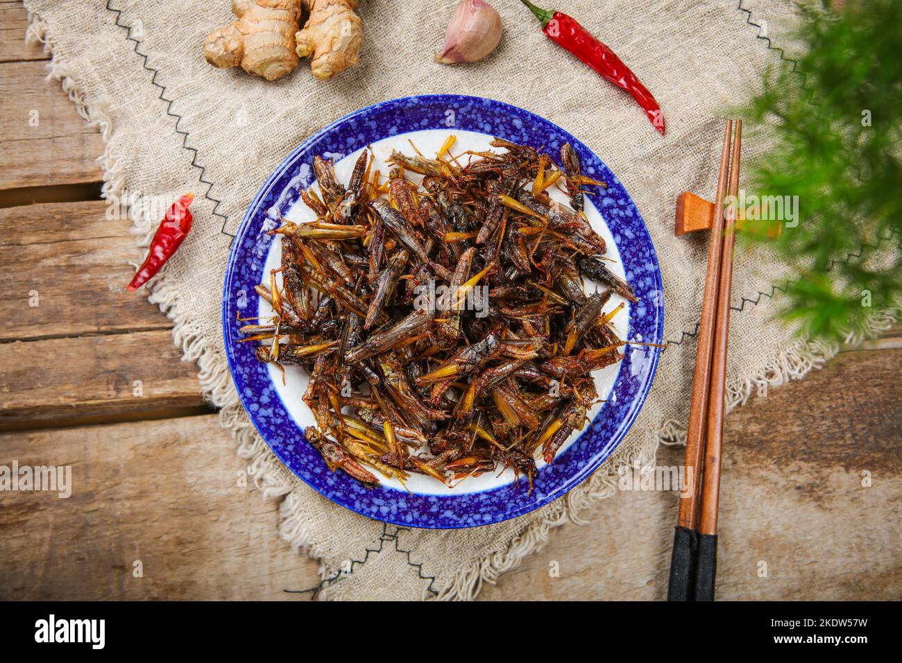 A plate of Fried grasshoppers Stock Photo - Alamy