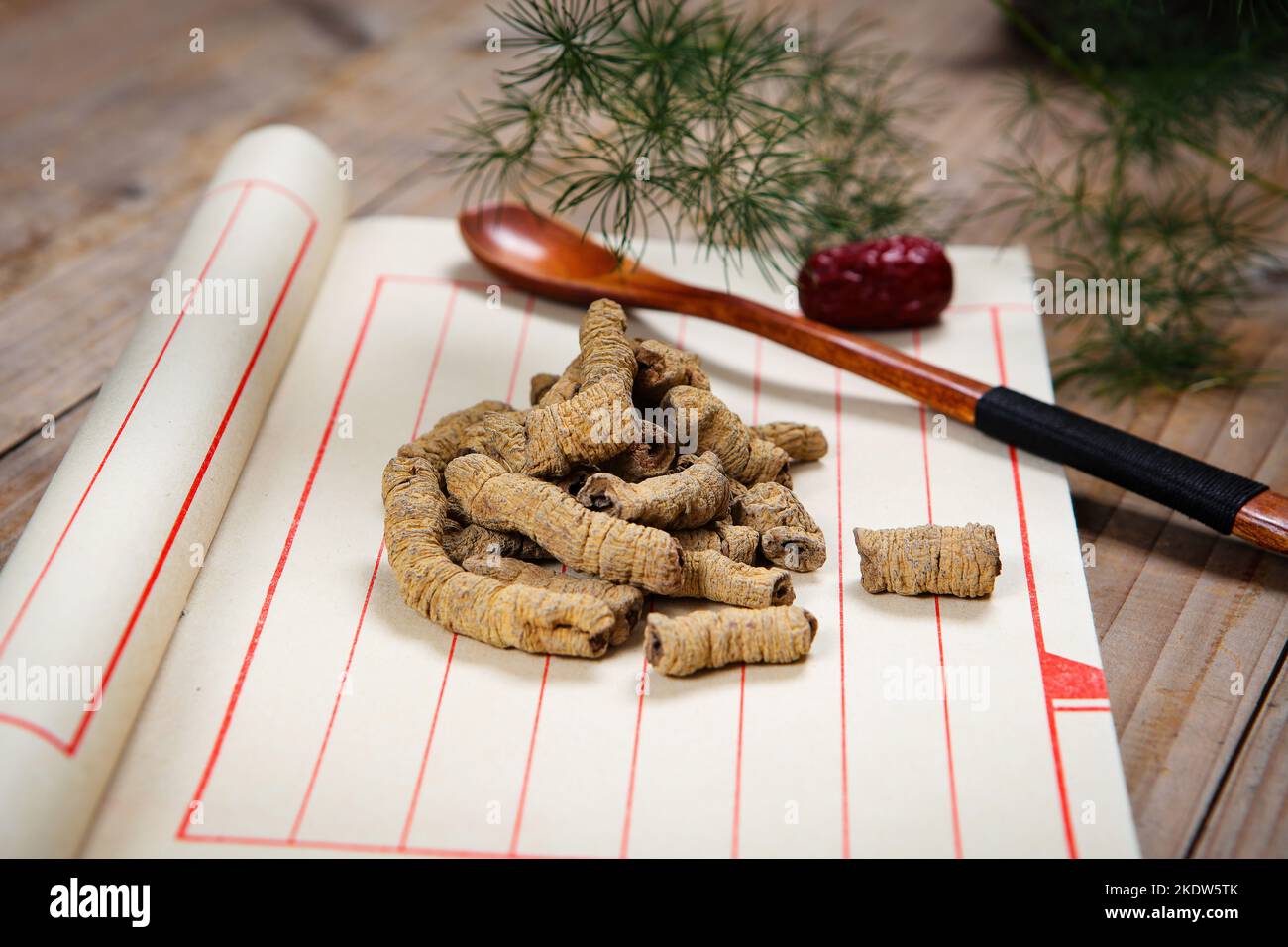 Chinese herbal medicine medicinal indianmulberry root Stock Photo - Alamy