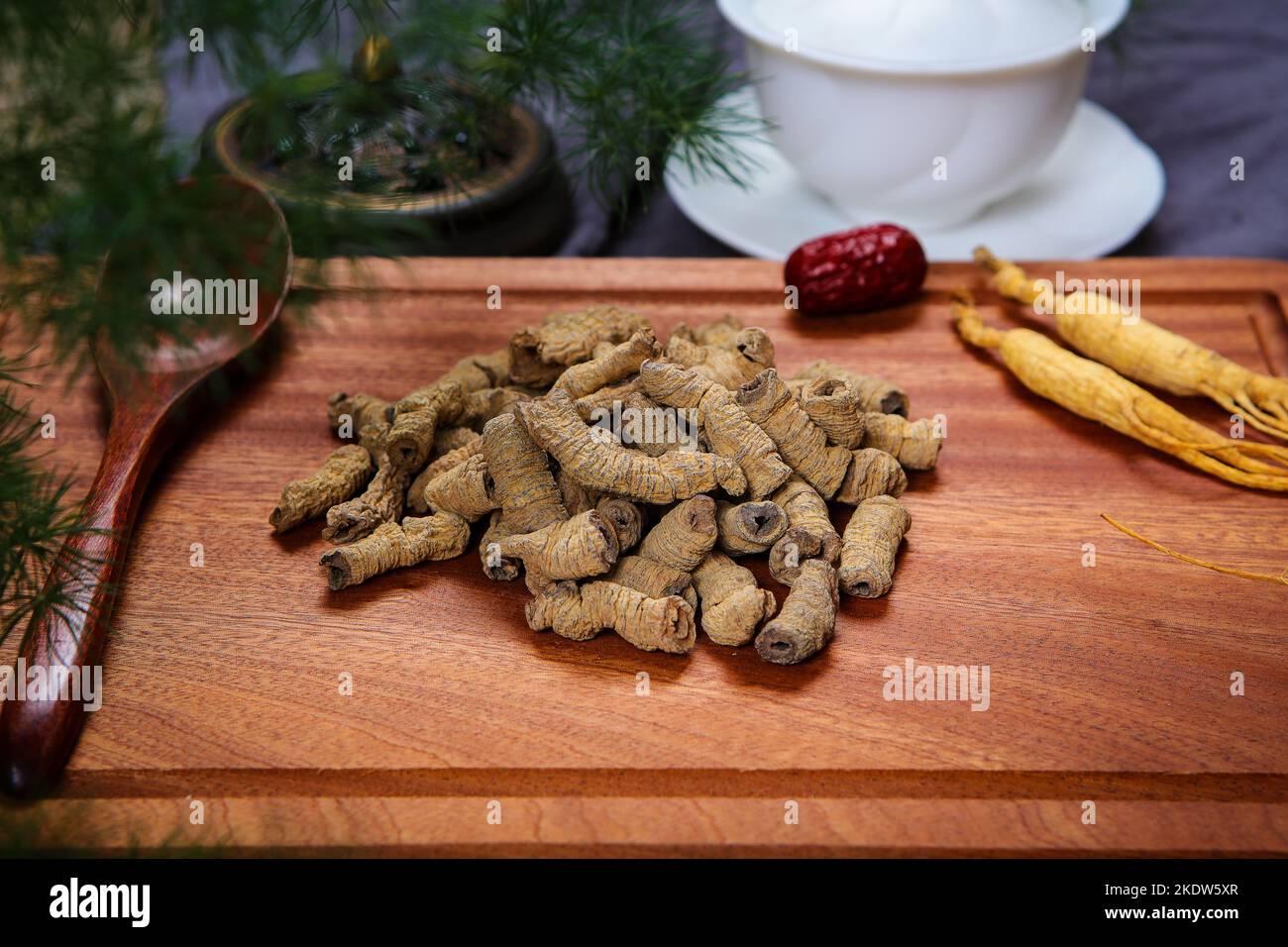 Chinese herbal medicine medicinal indianmulberry root Stock Photo - Alamy