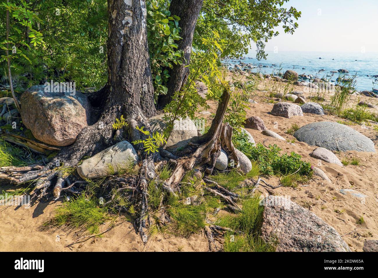 The stone shore of the Gulf of Finland near Zelenograd.Saint Petersburg ...