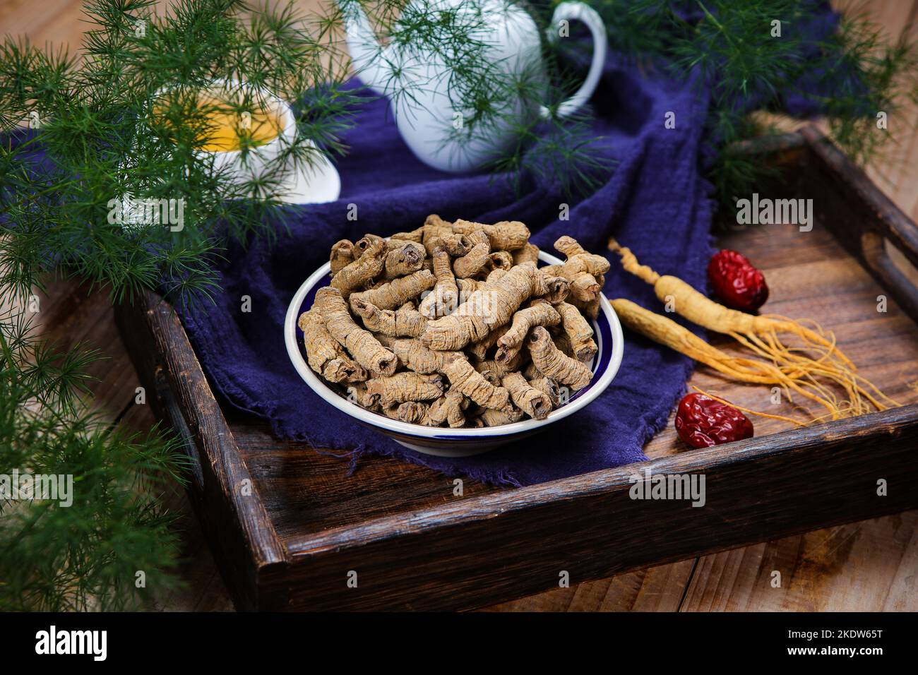 Chinese herbal medicine medicinal indianmulberry root Stock Photo - Alamy