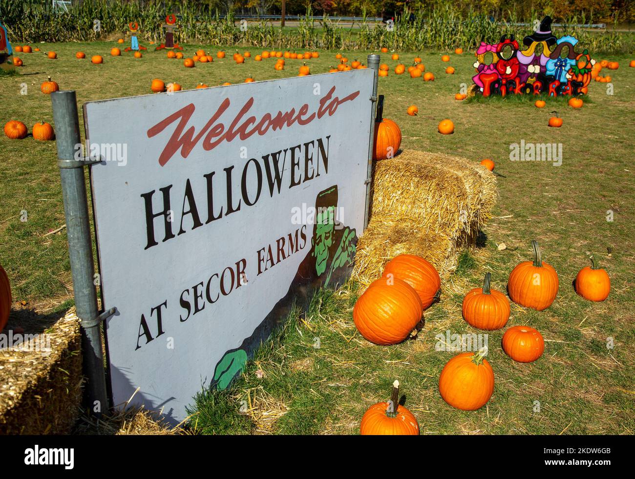 Pumpkins for sale sign hi-res stock photography and images - Alamy