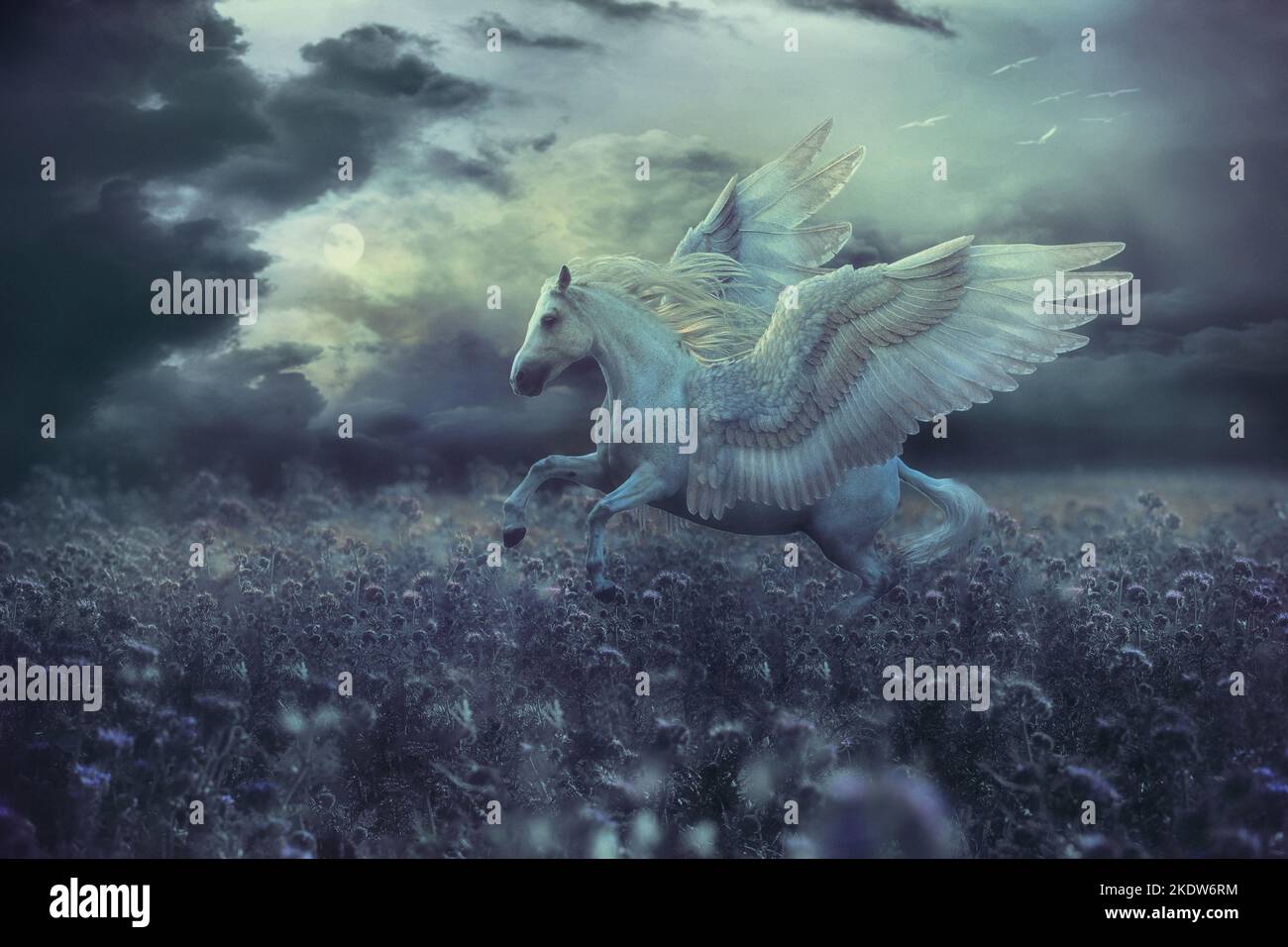 Pegasus my little pony hi-res stock photography and images - Alamy