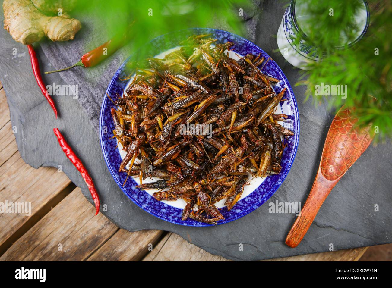 A plate of Fried grasshoppers Stock Photo - Alamy