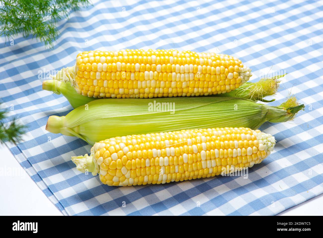 Small amount corn hi-res stock photography and images - Alamy