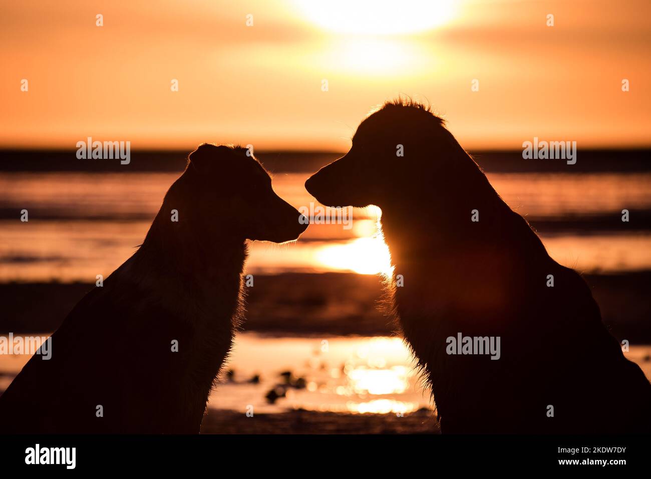 Double sun dogs hi-res stock photography and images - Alamy