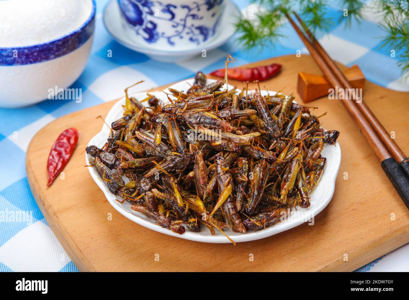 A plate of Fried grasshoppers Stock Photo - Alamy