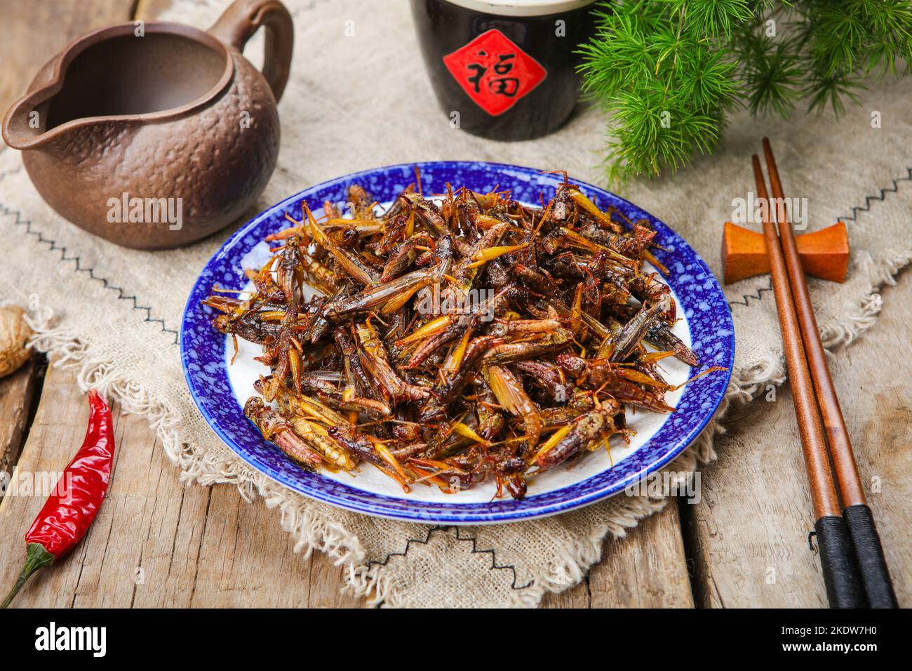A plate of Fried grasshoppers Stock Photo - Alamy