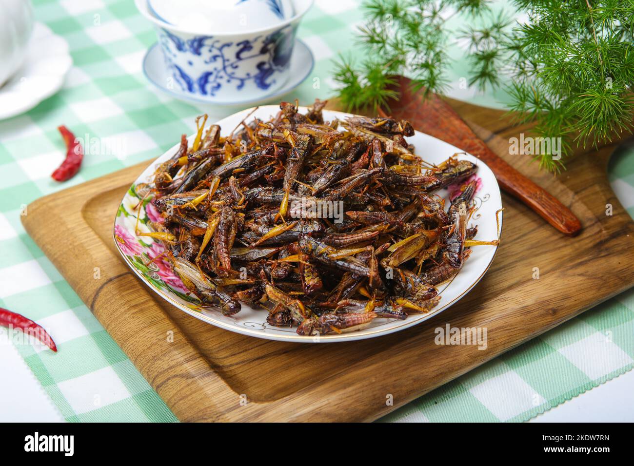 A plate of Fried grasshoppers Stock Photo - Alamy