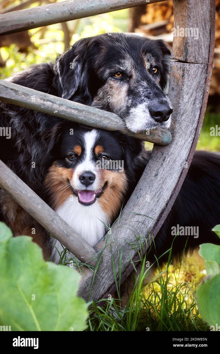 Cartwheels adult hi-res stock photography and images - Alamy