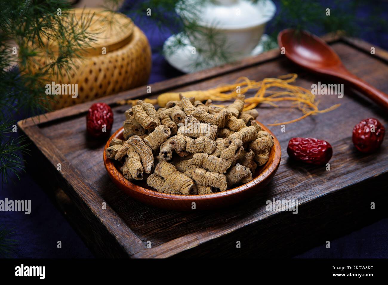 Chinese medicinal herb hi-res stock photography and images - Alamy