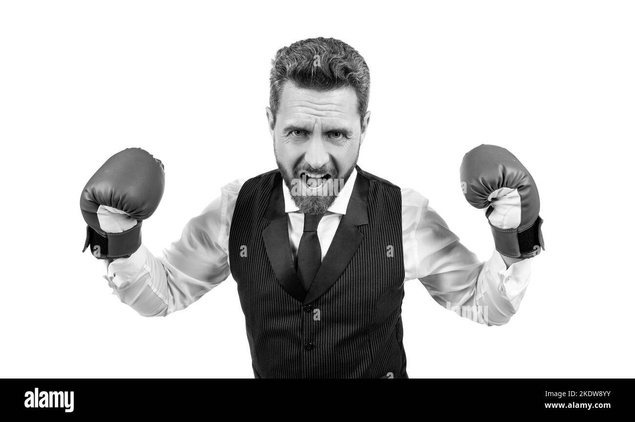 successful ceo boxer. relentless struggle and success. shouting man ...