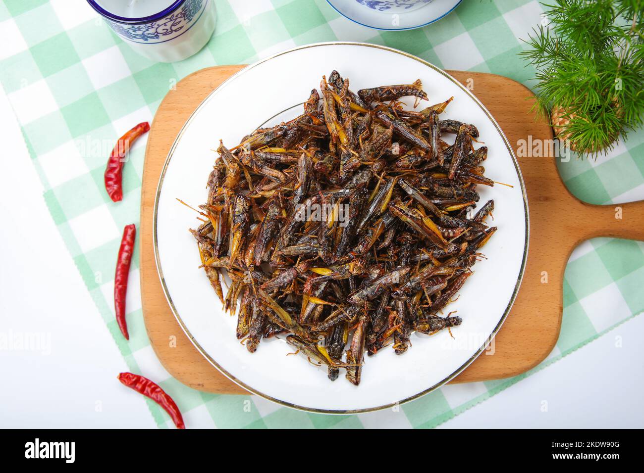 A plate of Fried grasshoppers Stock Photo - Alamy