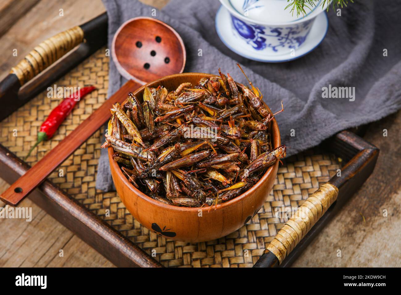 Fried grasshoppers plate hi-res stock photography and images - Alamy