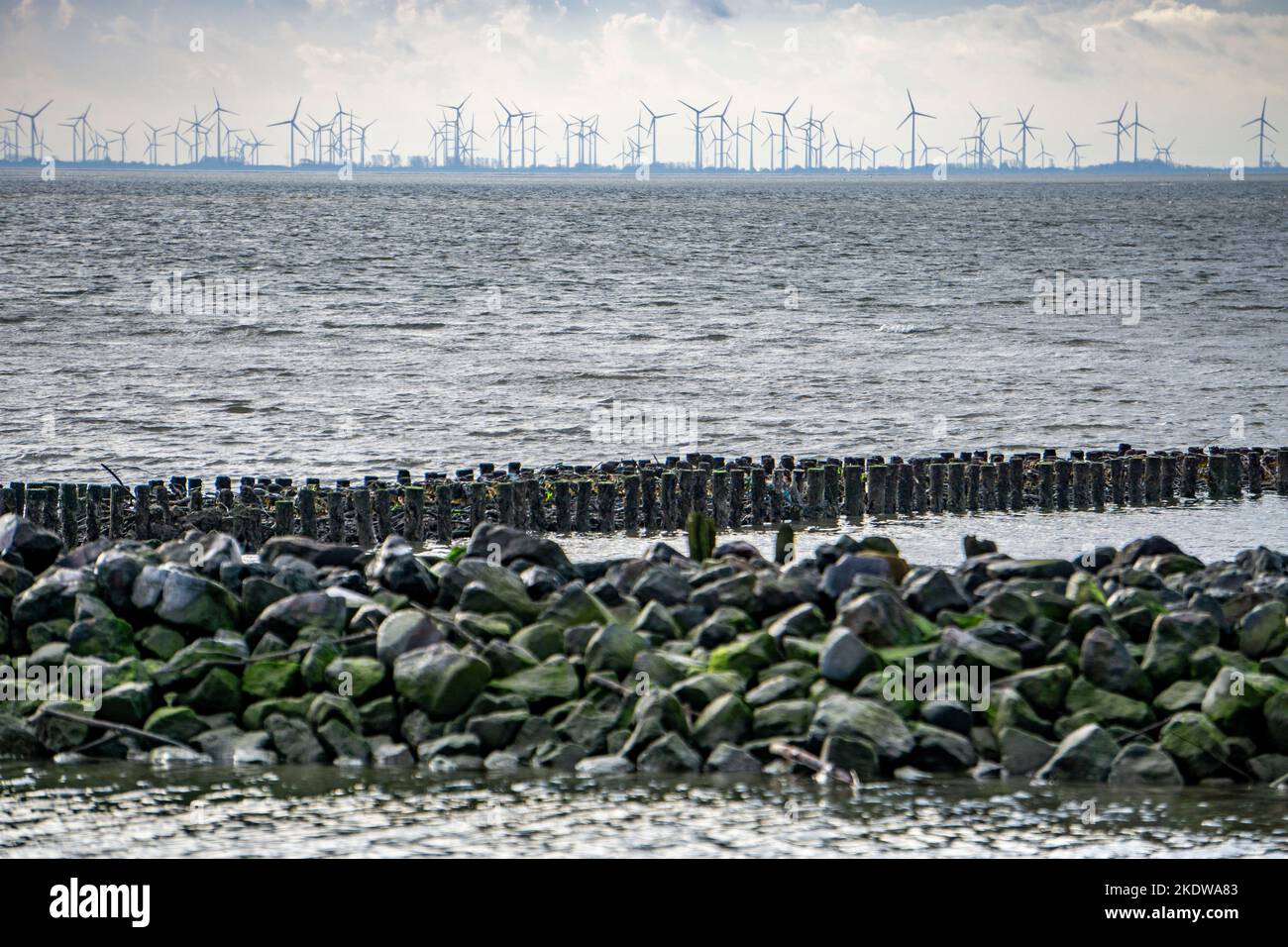 North Sea, Spiekeroog Island, autumn, coastal protection in the west of ...