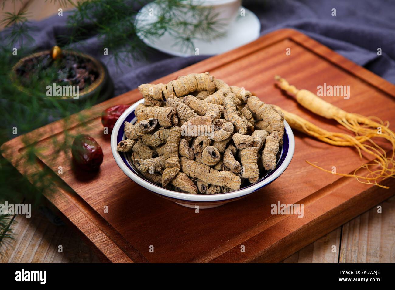 Chinese herbal medicine medicinal indianmulberry root Stock Photo - Alamy