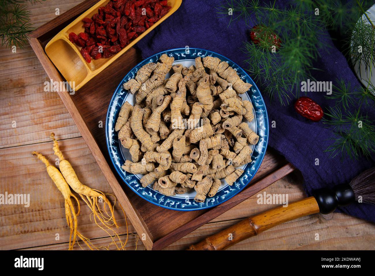 Chinese herbal medicine medicinal indianmulberry root Stock Photo - Alamy