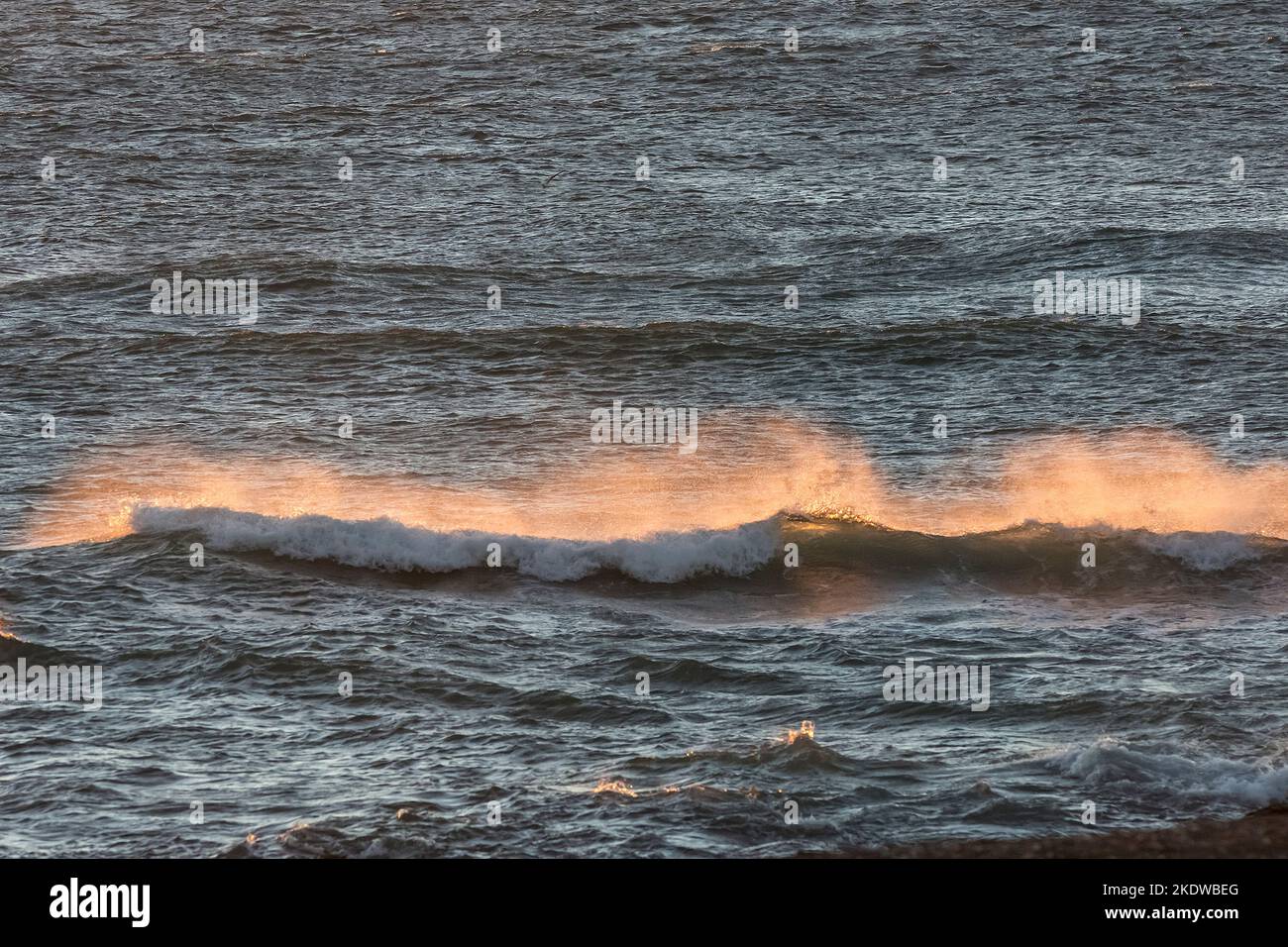 Wave in the ocean.Patagonia Argentina Stock Photo - Alamy