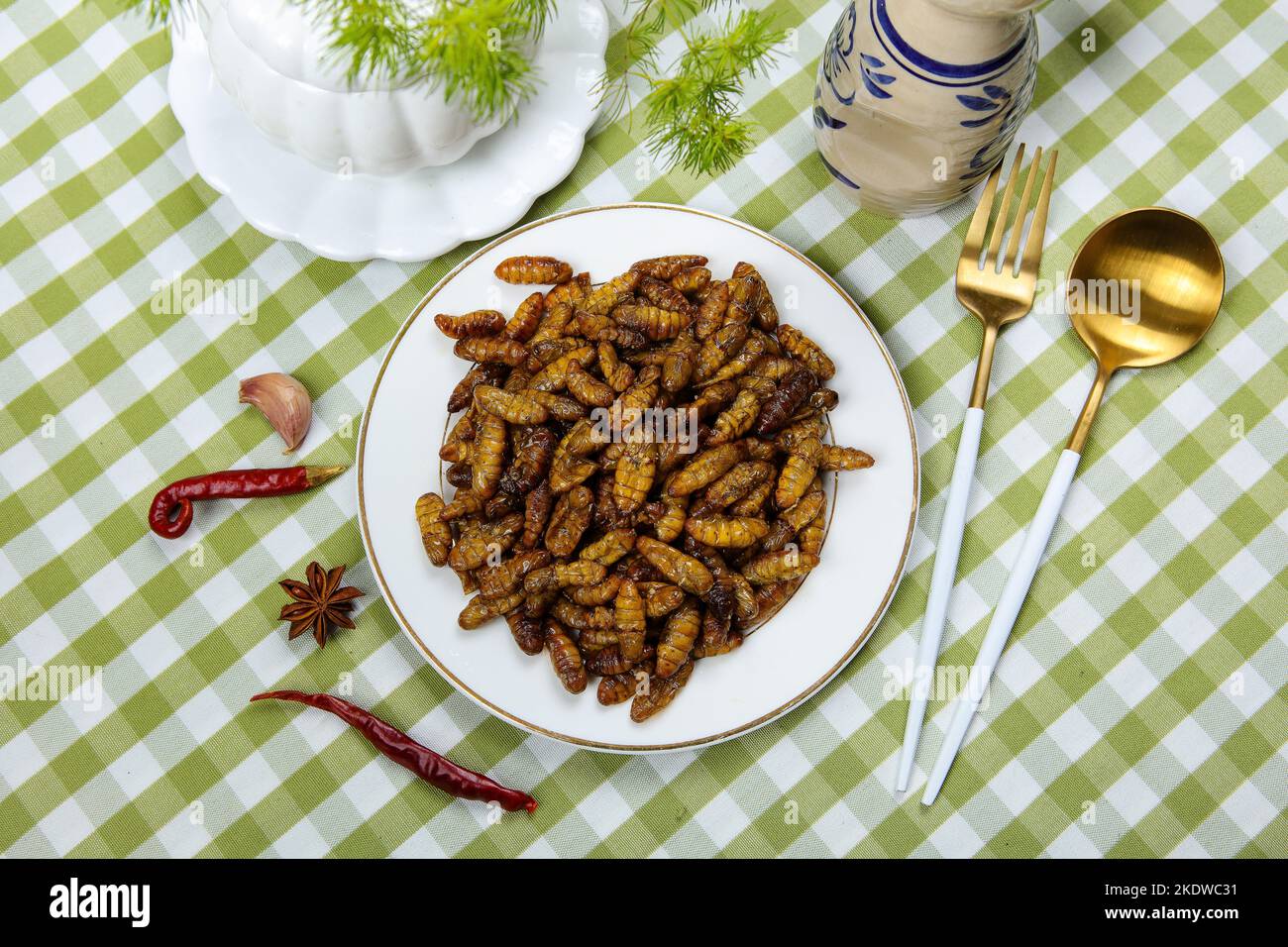 Edible insect meals hi-res stock photography and images - Alamy