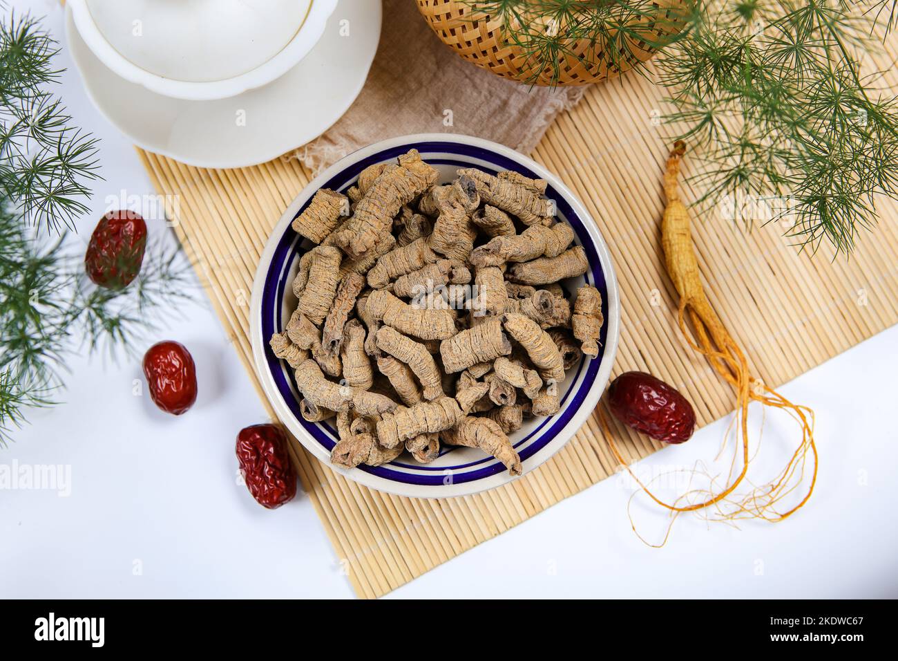 Chinese herbal medicine medicinal indianmulberry root Stock Photo - Alamy