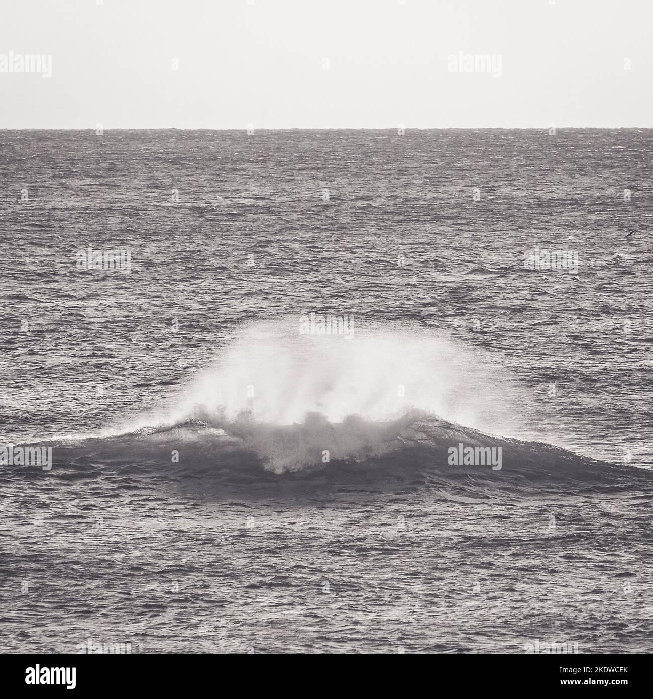 Argentina wave hi-res stock photography and images - Alamy