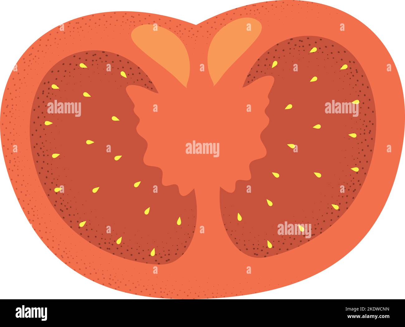 fresh half tomato vegetable food Stock Vector Image & Art - Alamy