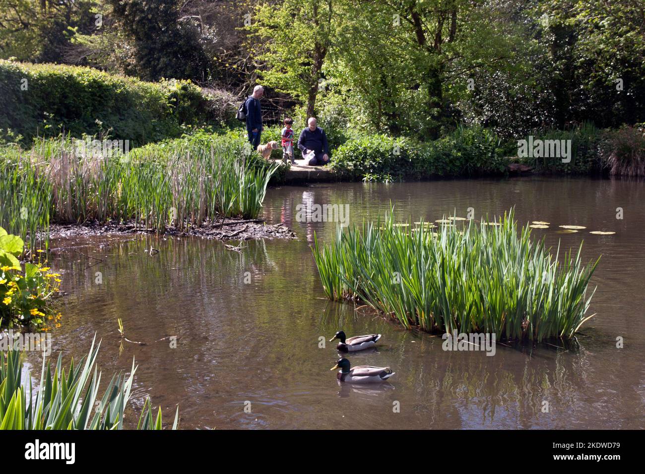 Trensu1445d hi-res stock photography and images - Alamy