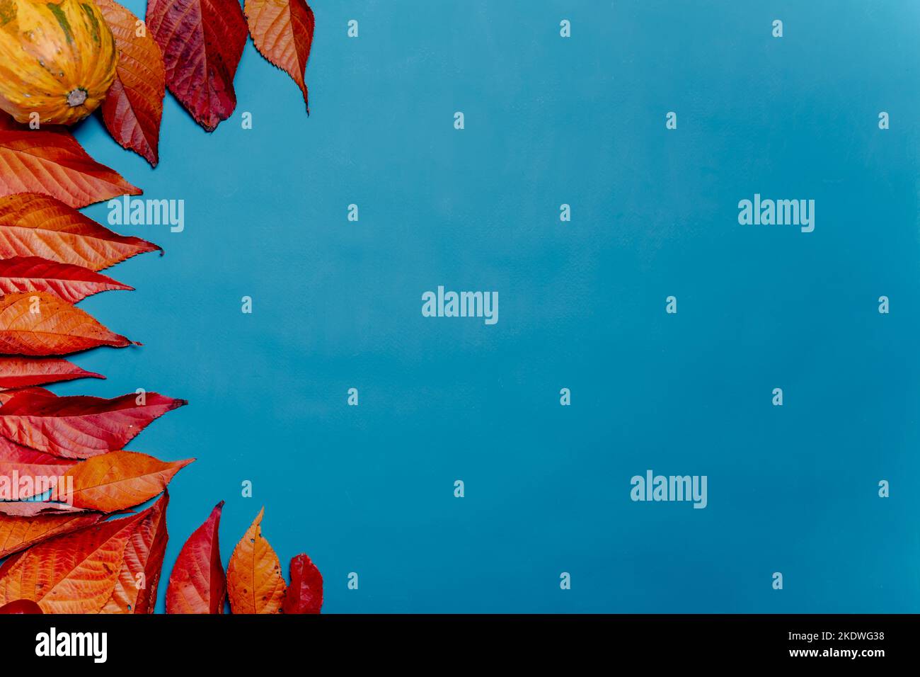 Autumn composition - red, yellow and orange autumn dried leaves on a ...