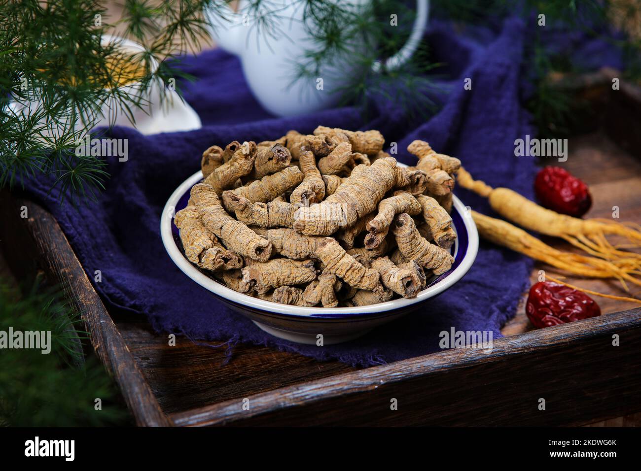 Chinese herbal medicine medicinal indianmulberry root Stock Photo - Alamy