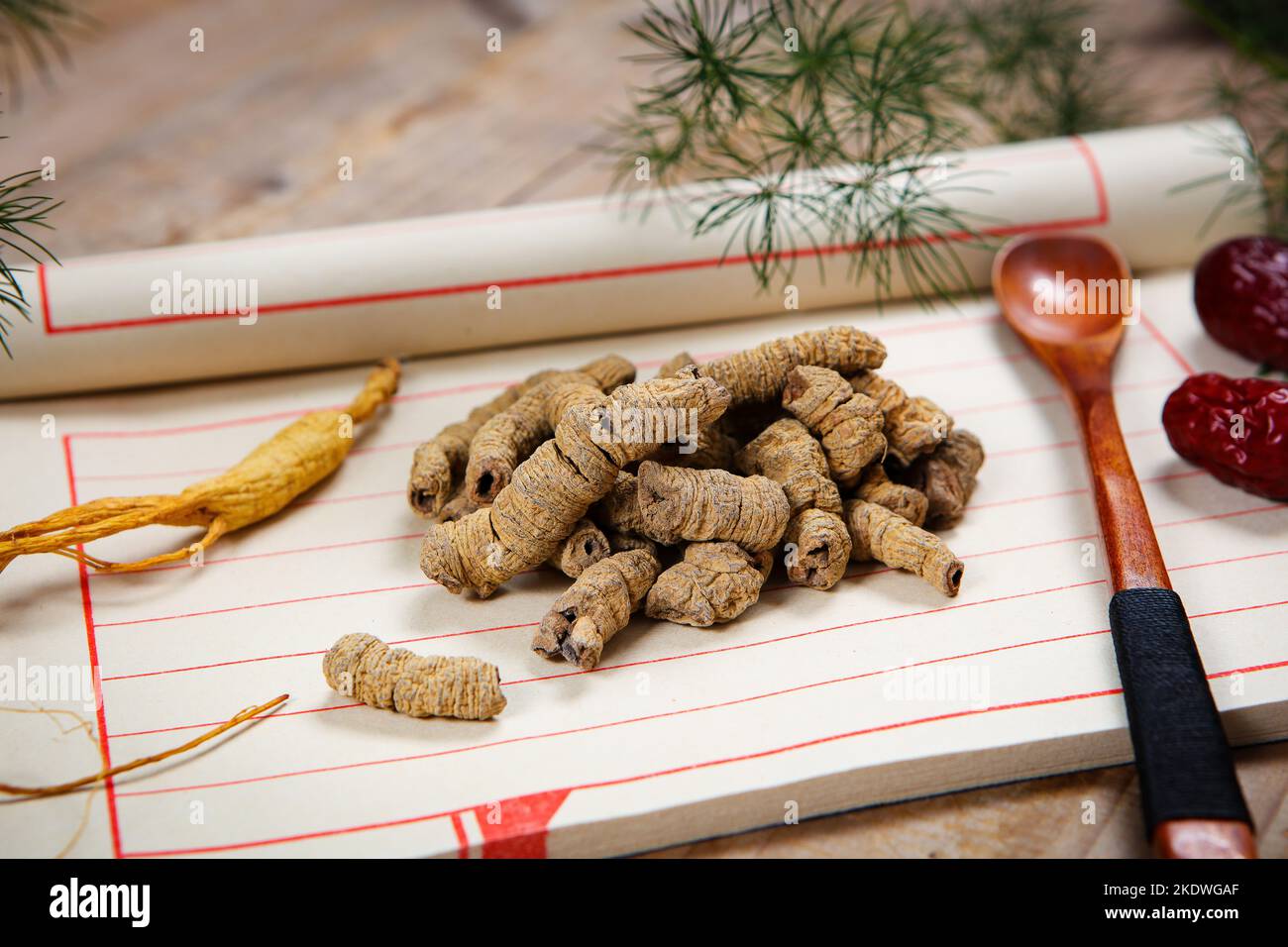 Chinese herbal medicine medicinal indianmulberry root Stock Photo - Alamy