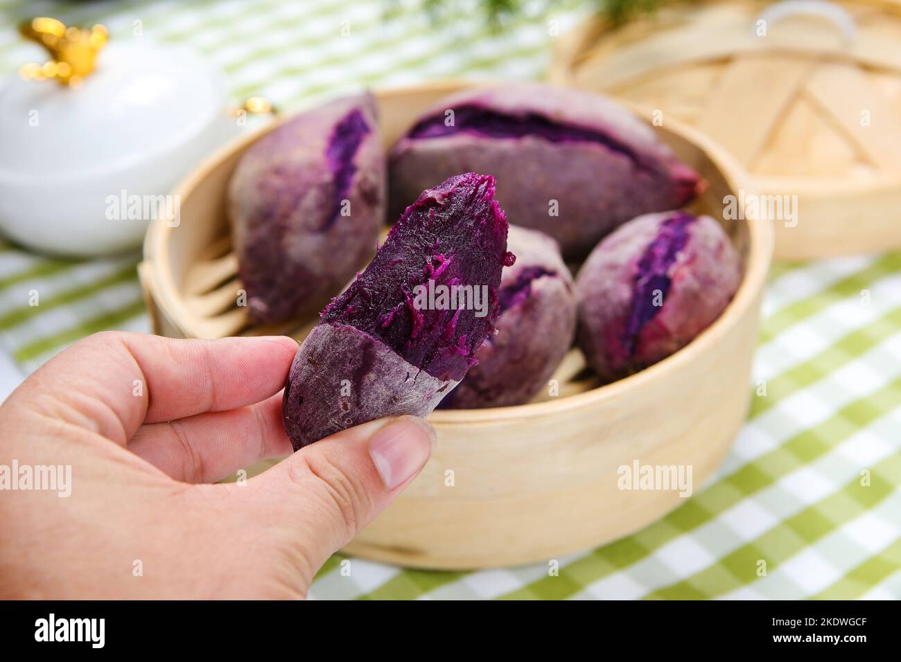 Human styles hi-res stock photography and images - Alamy