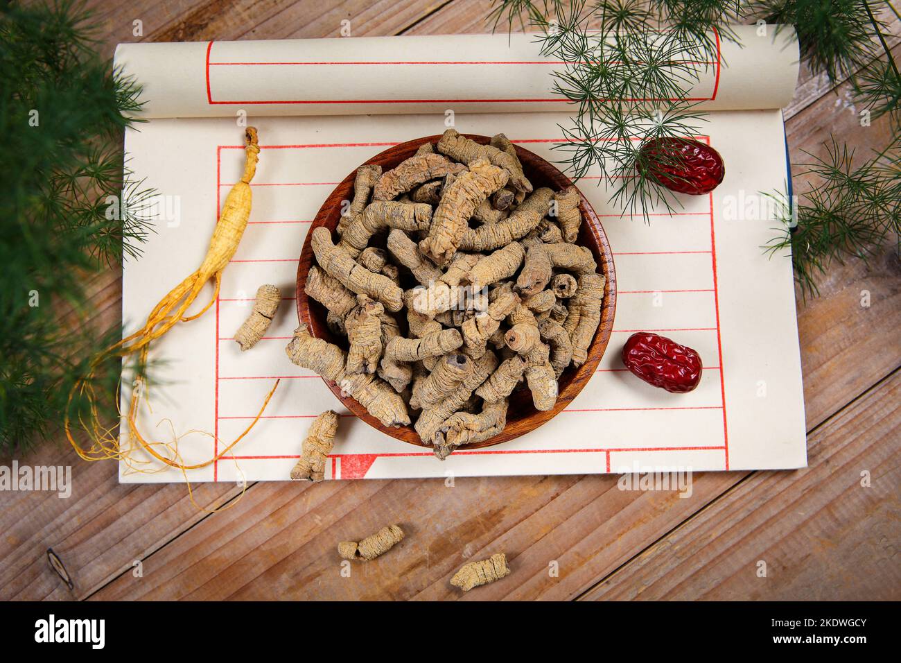 Chinese herbal medicine medicinal indianmulberry root Stock Photo - Alamy