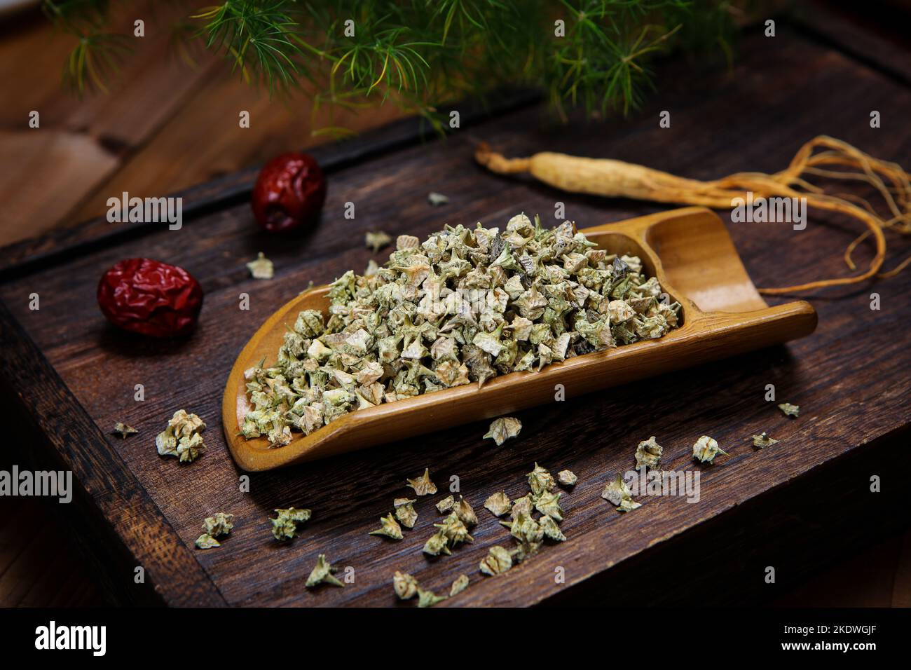 Chinese herbal medicine white thistle Stock Photo - Alamy