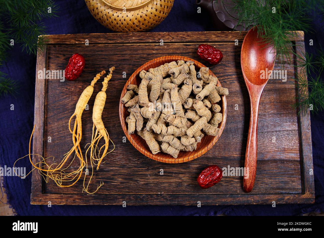 Chinese herbal medicine medicinal indianmulberry root Stock Photo - Alamy