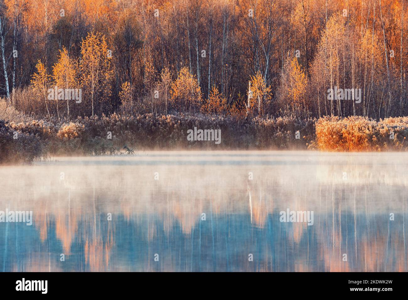 Fog above the lake at cold autumn morning Stock Photo - Alamy