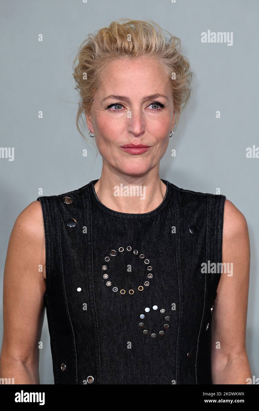 London, UK. 08th Nov, 2022. November 8th, 2022, London, UK. Gillian ...