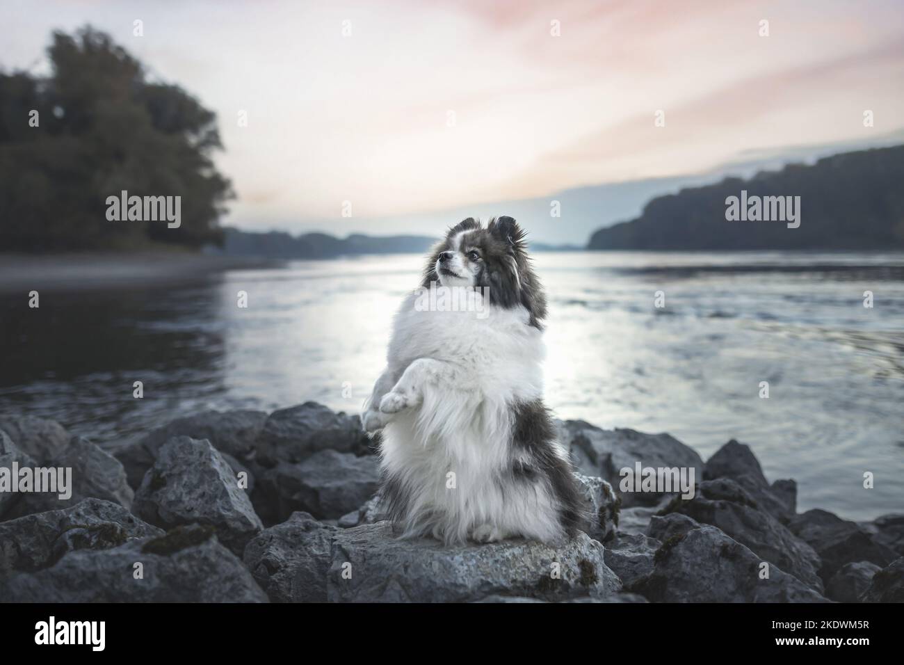 Cloud spitz hi-res stock photography and images - Alamy