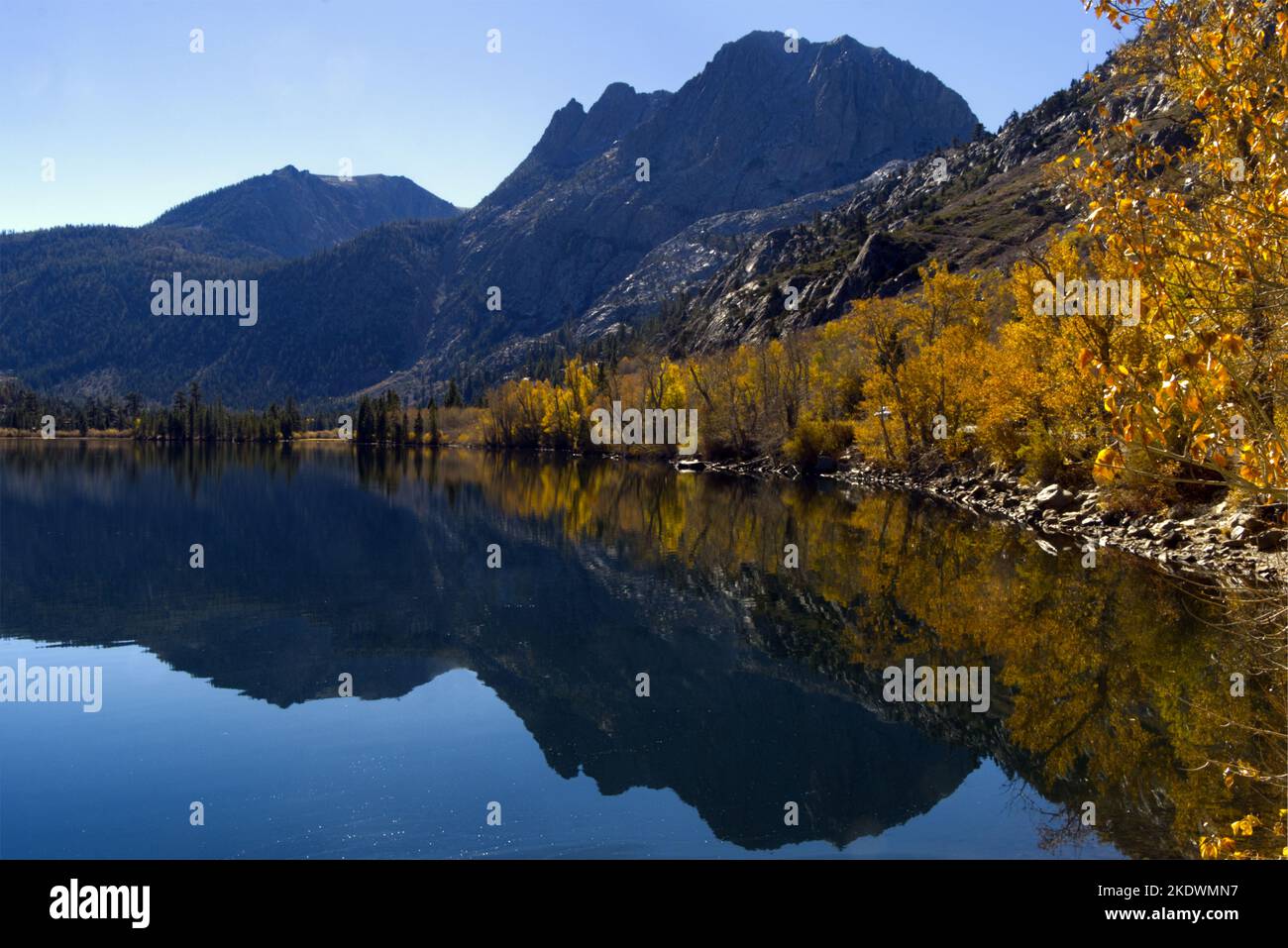 June Lake Shoreline Stock Photo - Alamy
