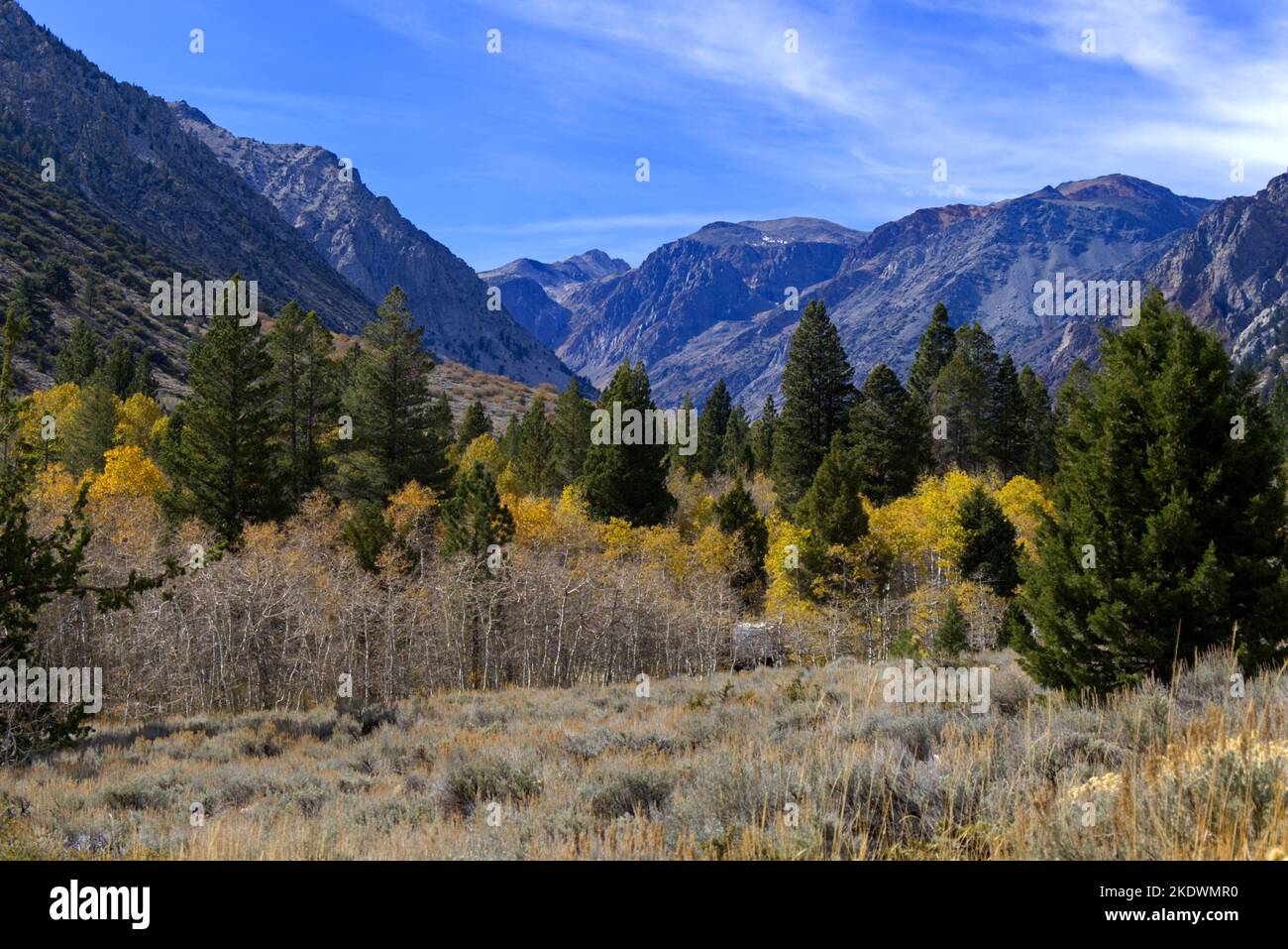 Lundy Canyon Fall Colors and Mountains Stock Photo - Alamy