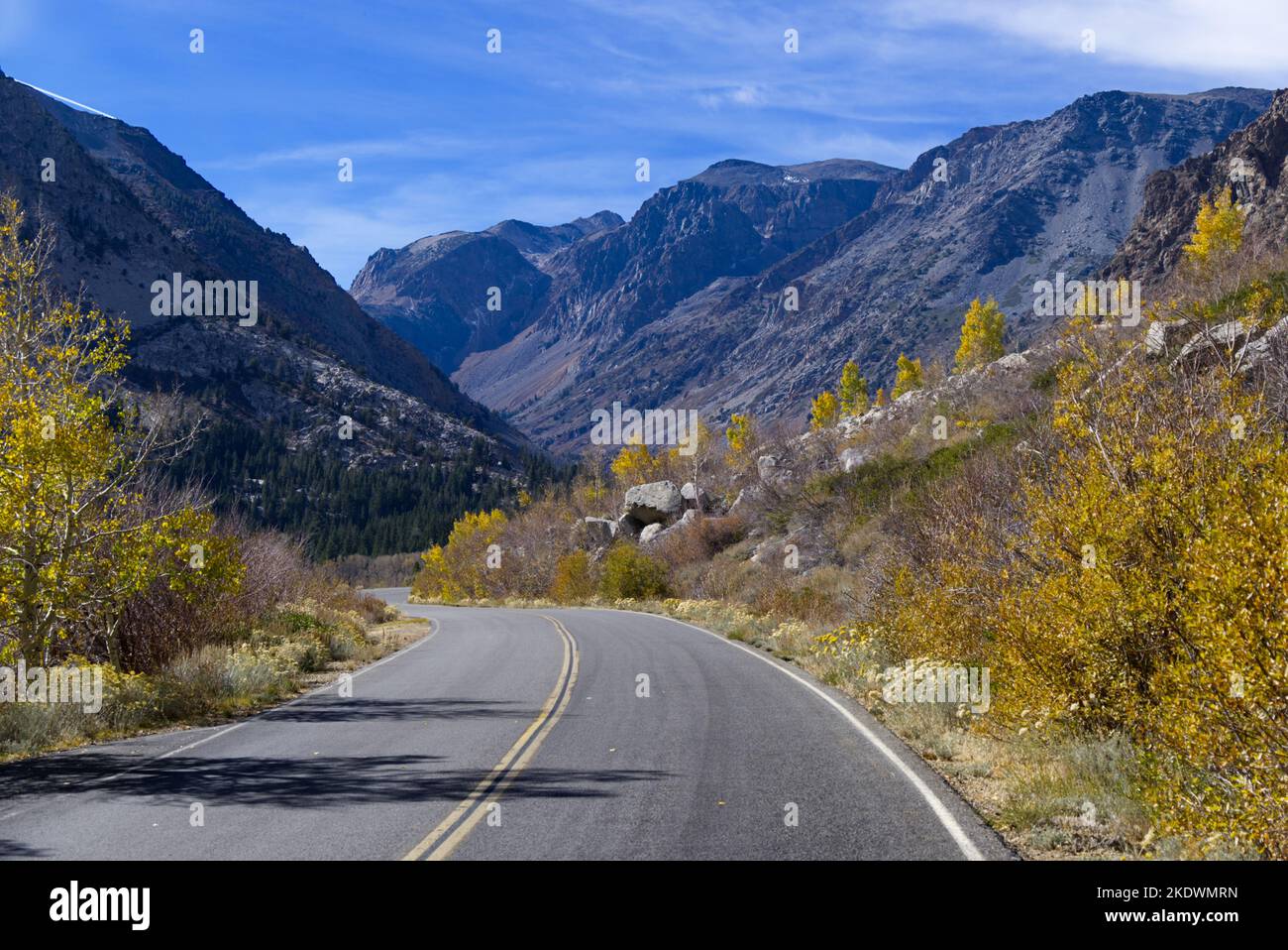 Lundy Canyon Road Stock Photo - Alamy